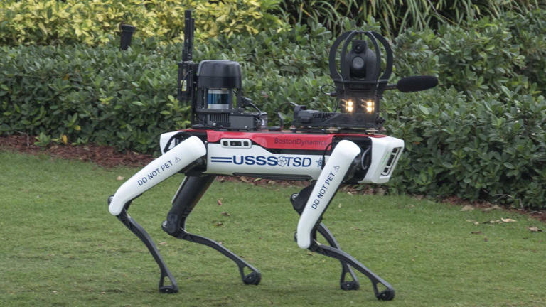 AI hype? Caltrans robot dog gets credit for solving a crime that never ...