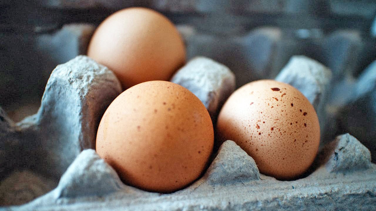 You’re storing your eggs wrong—and it’s shortening their shelf life