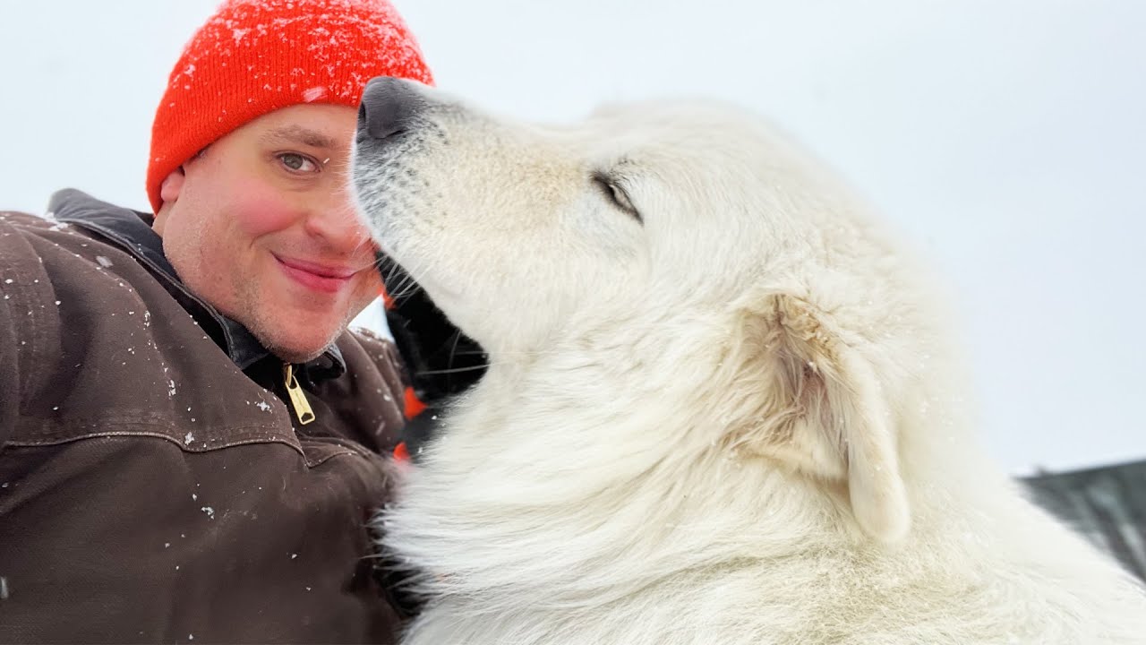 A full year in life of Vermont small farm