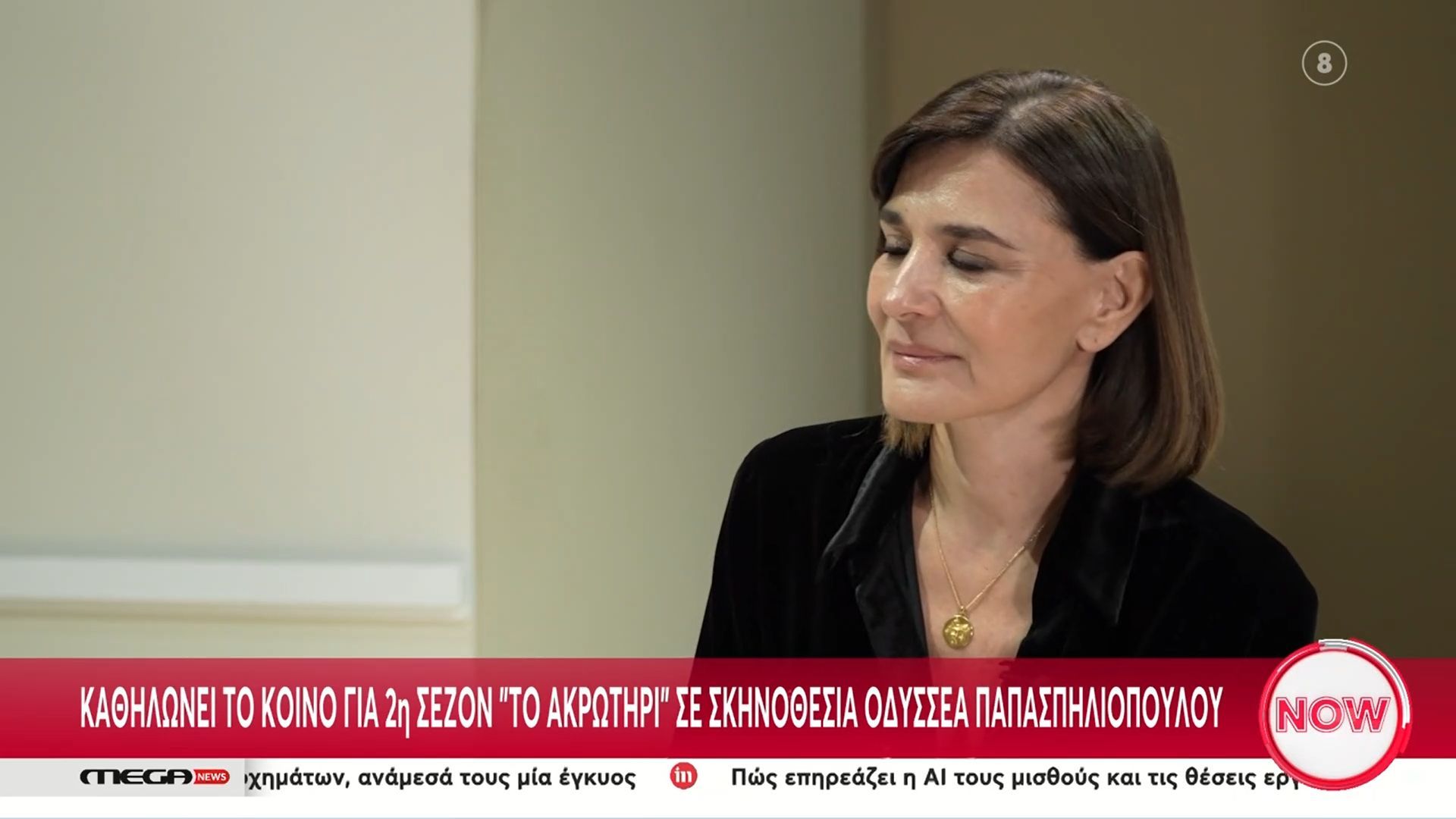 Μ.Ναυπλιώτου: «Το "μη αναστρέψιμο" είναι ο μεγαλύτερος φόβος μου - Η ...
