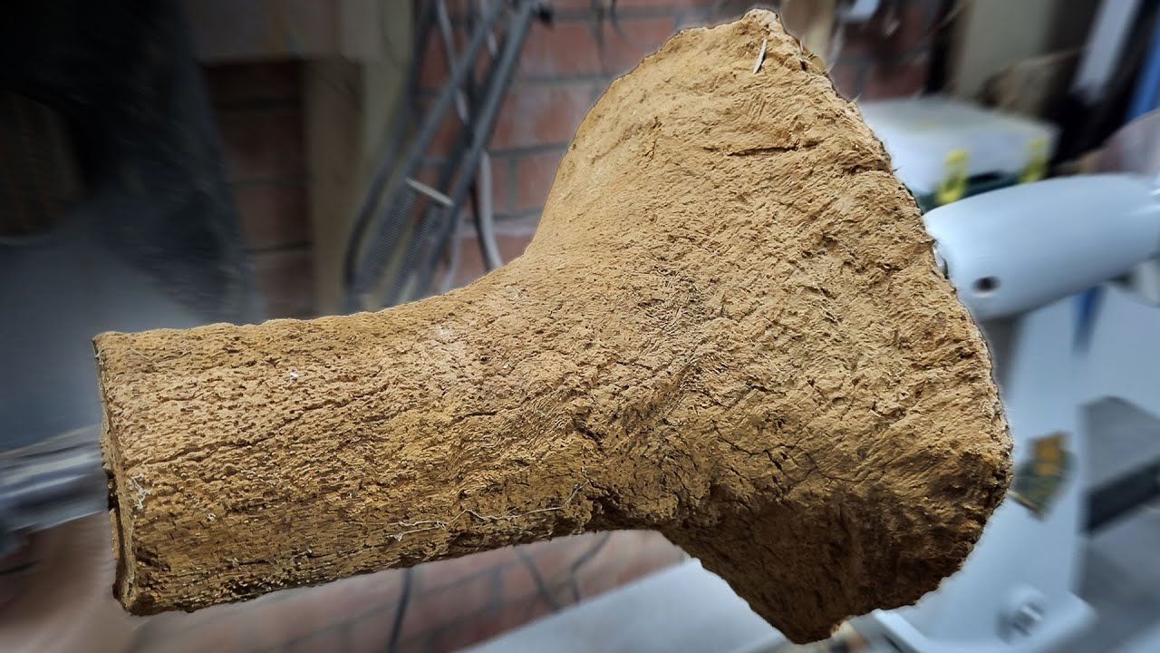 How a grass tree root transforms from rough chaos into art