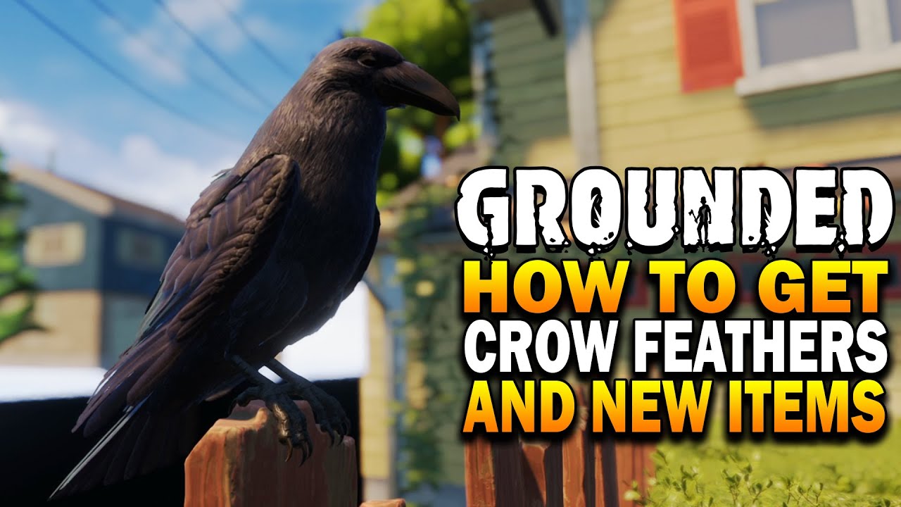 Grounded Update: How To Find Bird Feathers & New Items