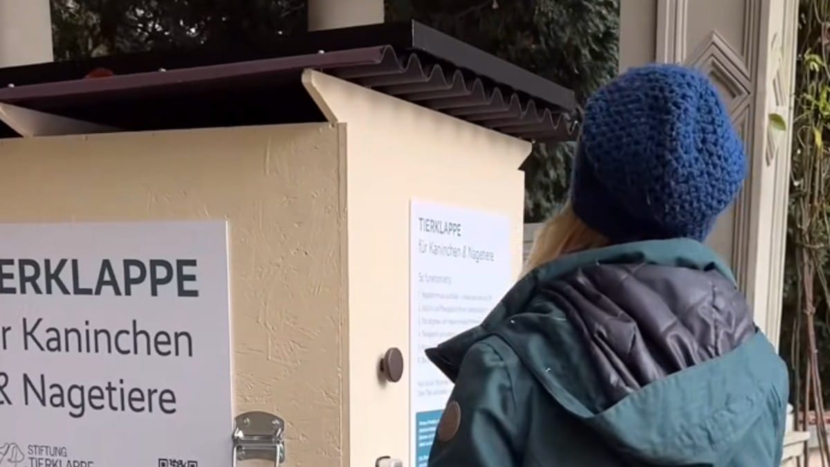 This box lets you anonymously surrender animals