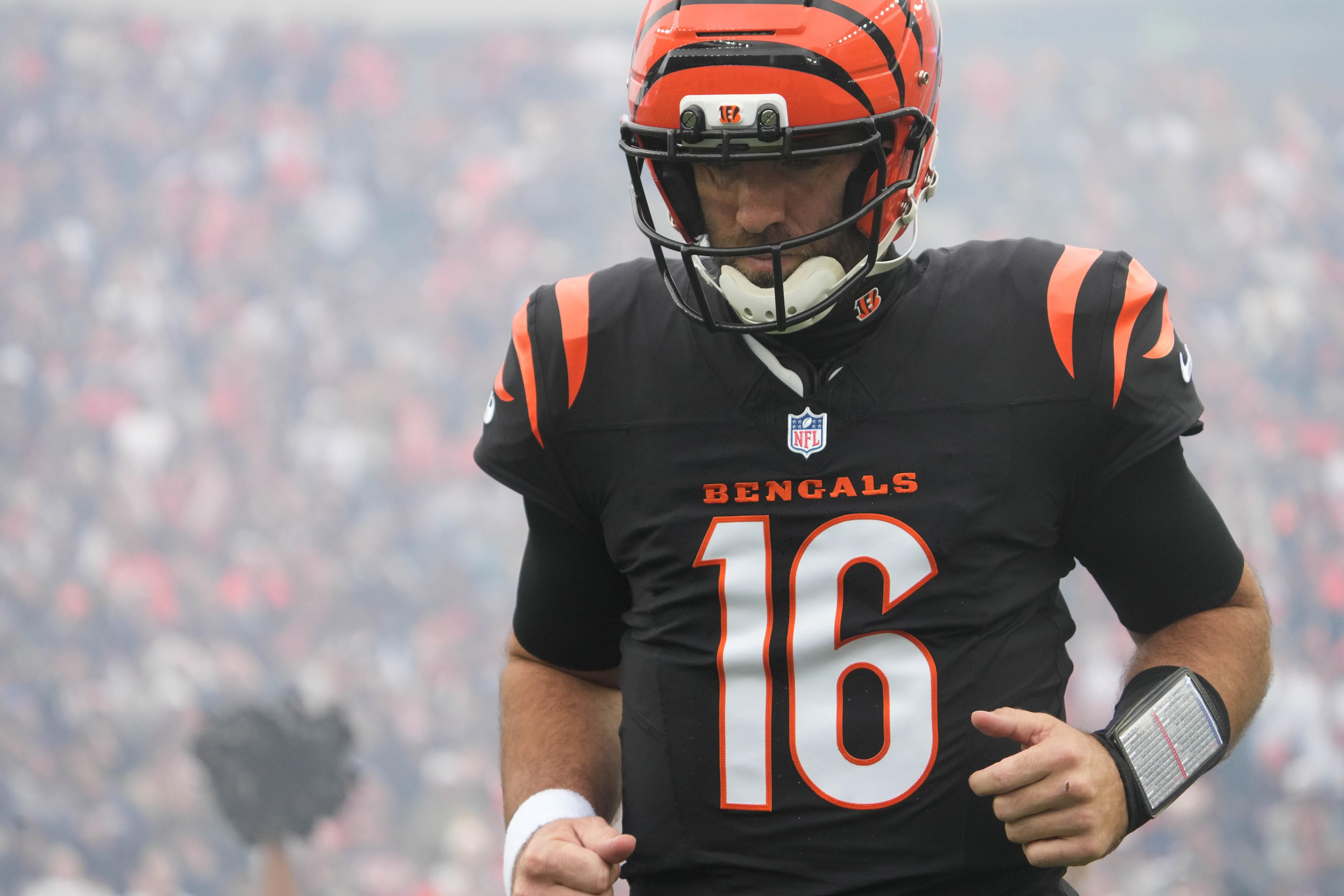 Bengals' updated AFC North, playoff standings after bye week
