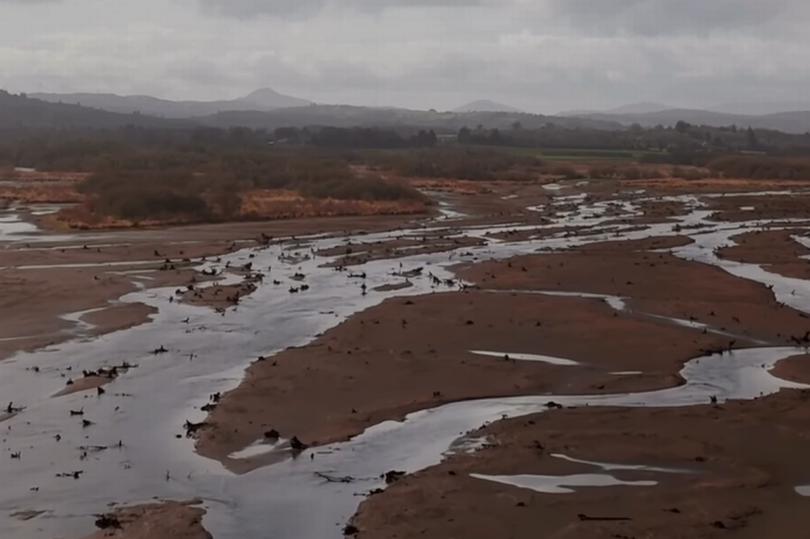 Glimpse Cork's flooded Ice Age forest in fascinating TikTok history vid