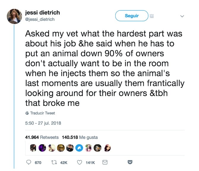 Tierarzt beklagt: 90% aller Menschen lassen ihr Tier beim Einschläfern ...