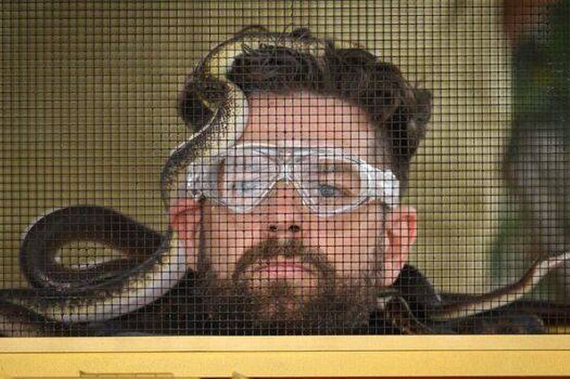 I'm A Celebrity facing 'dangerous conditions' as Jack Osbourne's ...
