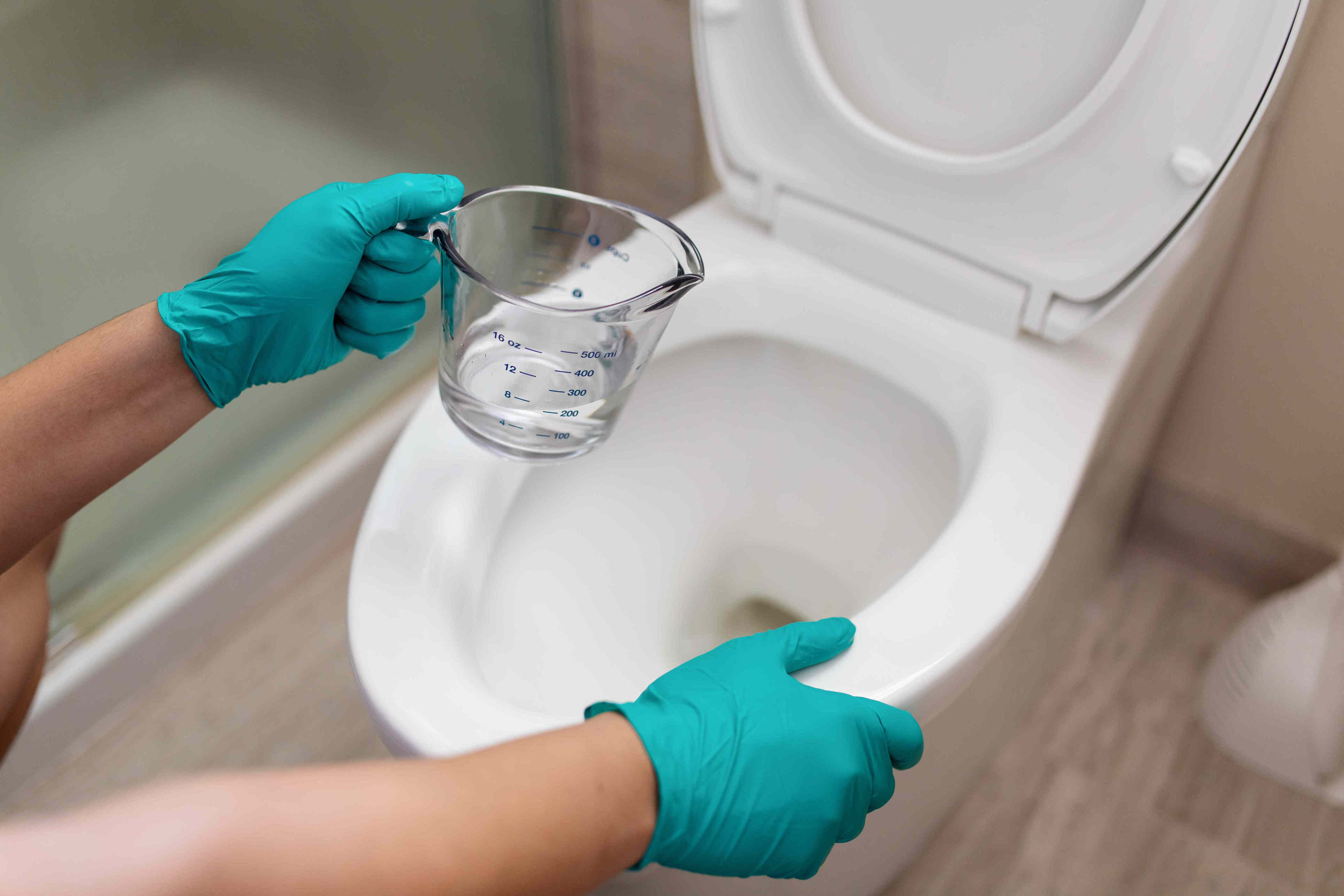 How to Clean Your Toilet Bowl With Vinegar and Get Rid of Everything ...