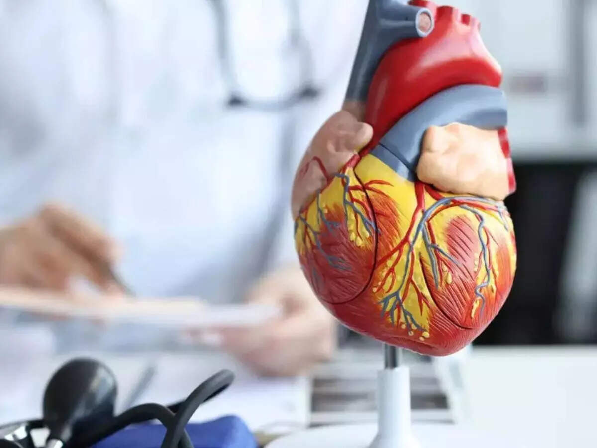 Cardiologist reveals the ‘most powerful longevity drug’ that could help ...