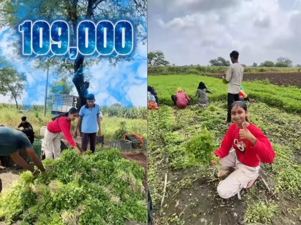 ₹1 lakh profit from dhaniya in 30 days: MP girl shares how she earned ...