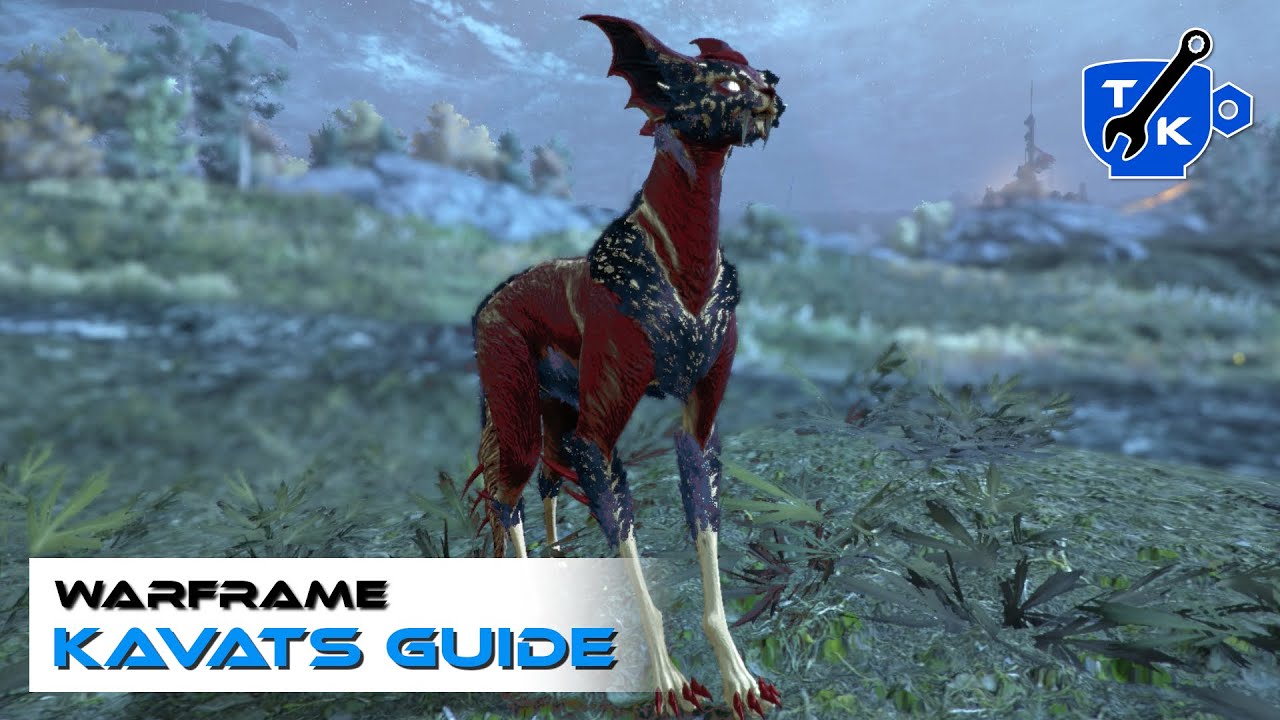 Kavats - a fusion of charm and mischief | Warframe