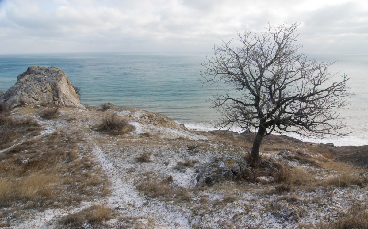 Météo demain en Nouvelle-Aquitaine : vent soutenu et averses à prévoir ...