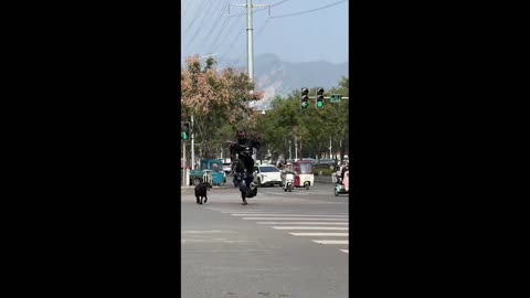 China: Man in Robotic Exosuit Strolls Through Crosswalk With Dog in Henan
