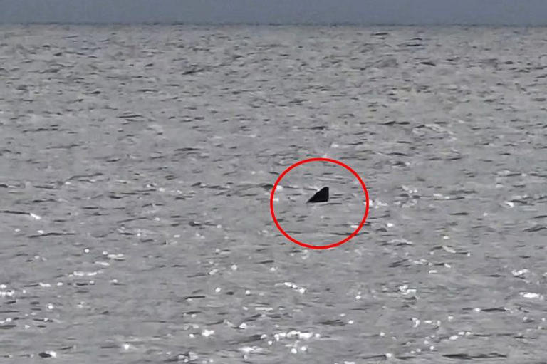 Shark fin spotted off Welsh seaside resort's coast sparks fears 'great ...
