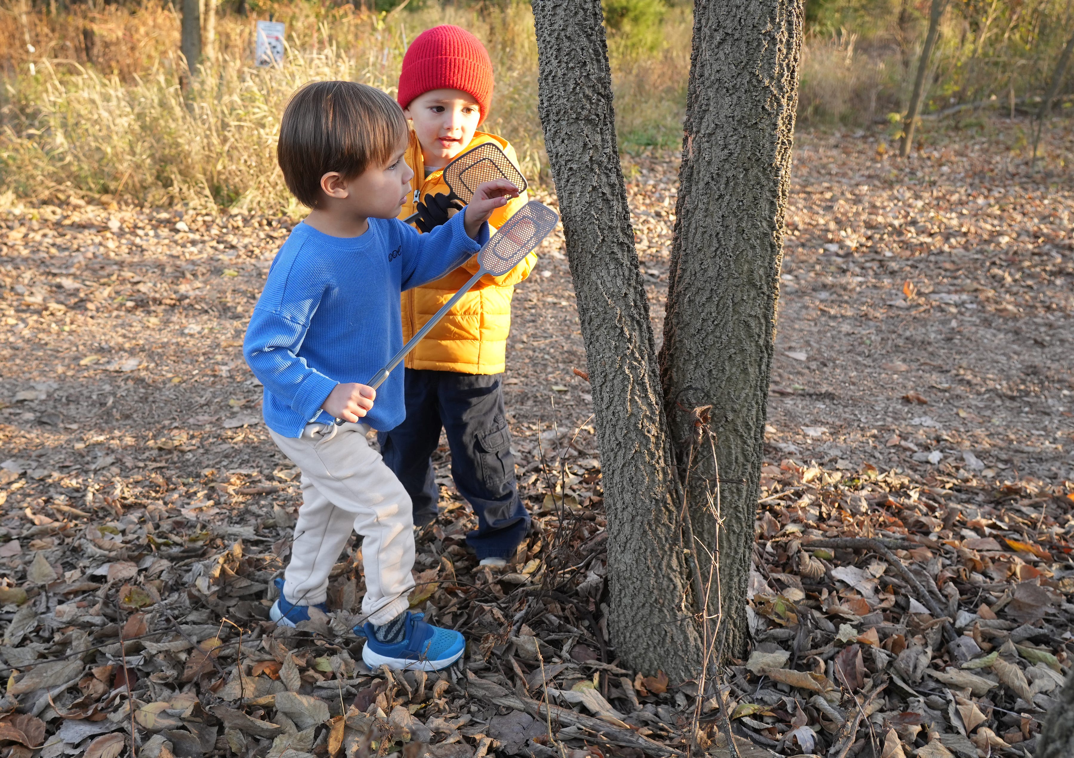 How bad were spotted lanternflies in Ohio this year? Here's the season ...