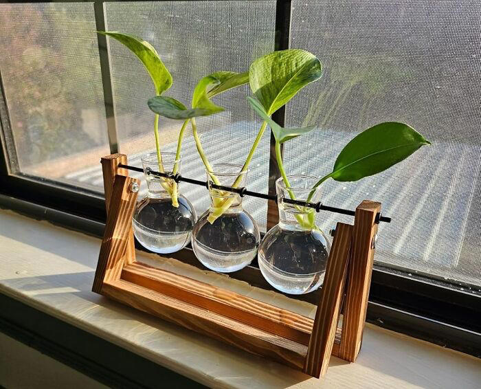 18 Novelty Items That Will Make You Say “Why Does This Exist?” And Then ...