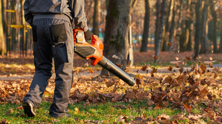 Handheld Vs Backpack Leaf Blower: How To Choose The Right One For Your ...