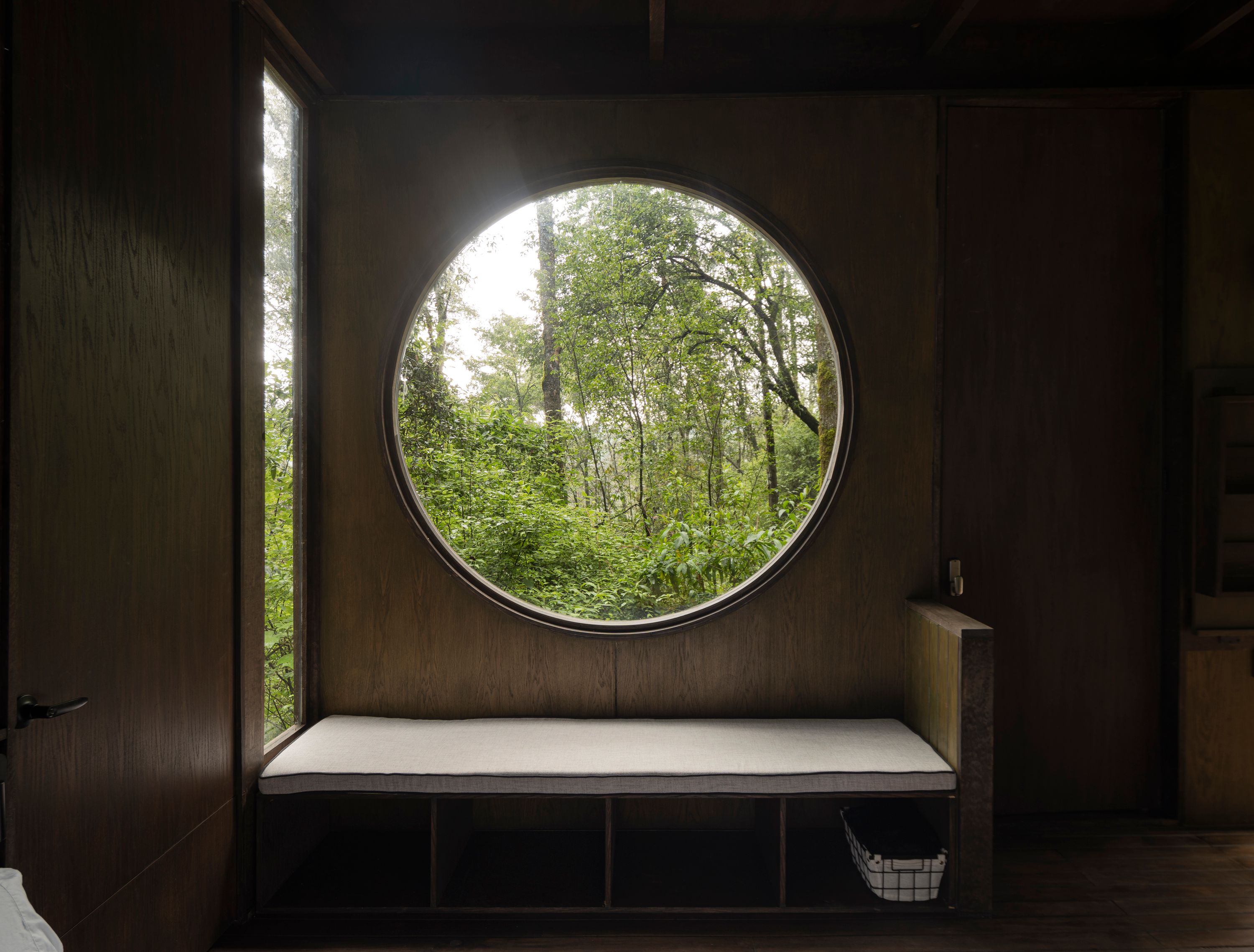 ¡La revelación del año 2025! Así es el proyecto ganador de Oioioi en ...