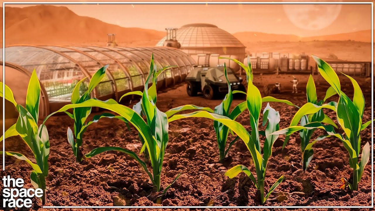 The Red Planet Was Dead Until We Decided to Plant a Garden