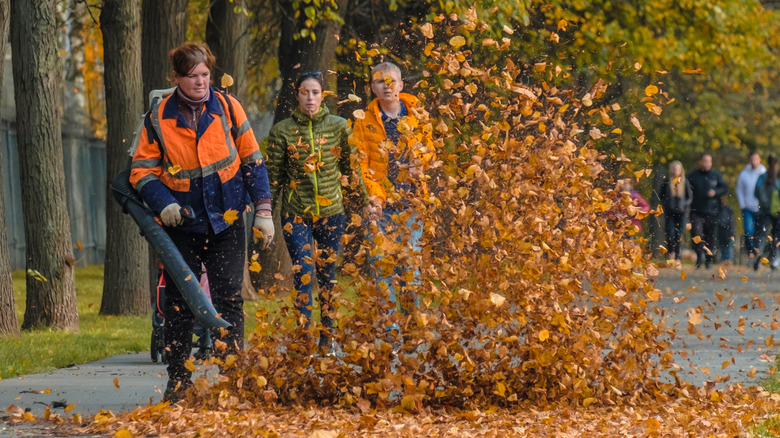 Handheld Vs Backpack Leaf Blower: How To Choose The Right One For Your ...