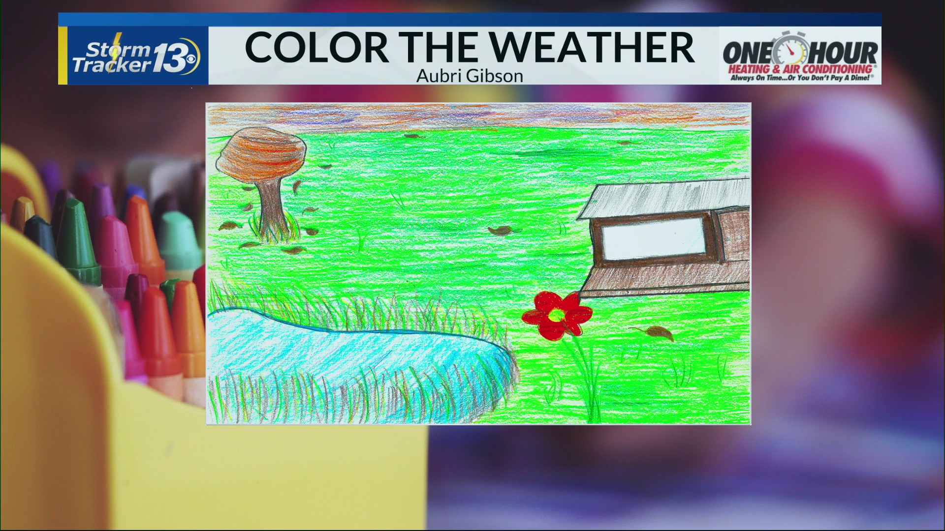 Color the Weather: Aubri Gibson