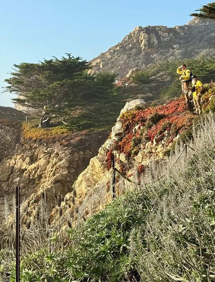 Body Found of Missing 7-Year-Old Girl Swept Out to Sea on California ...