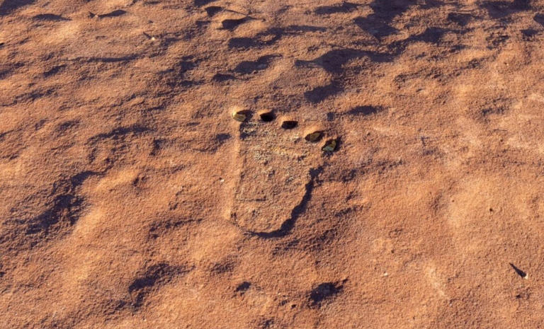 Archaeologists Uncovered 23,000-Year-Old Human Footprints in New Mexico ...