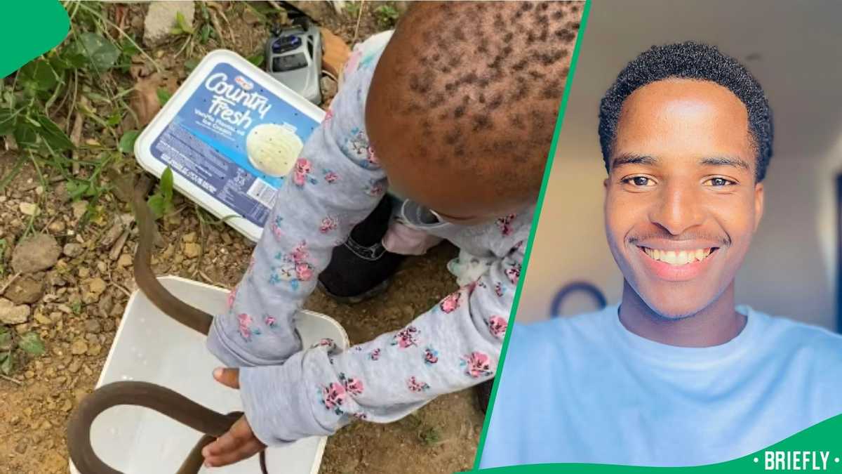 "I'd be running": KZN 2-year-old capturing a snake in a plastic ...