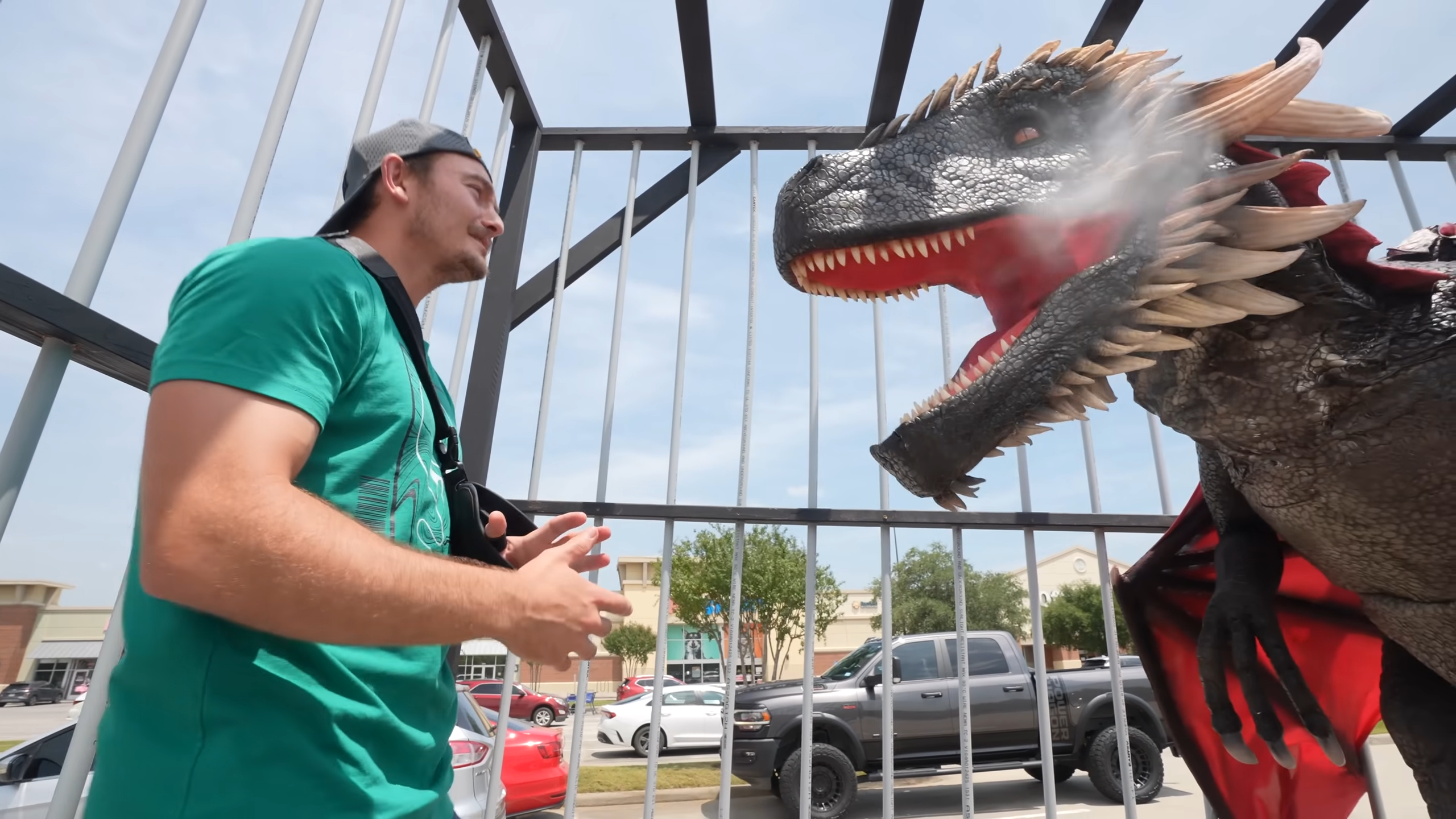 How to train your dragon IRL!