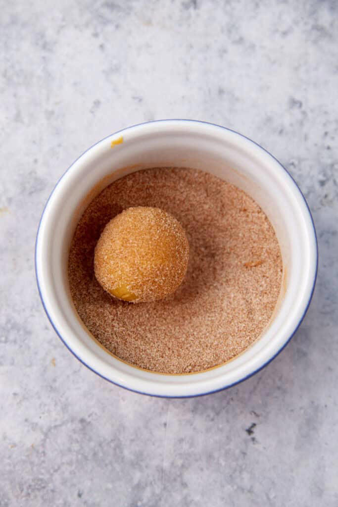 Cozy Pumpkin Snickerdoodles with Cinnamon-Sugar Crackle