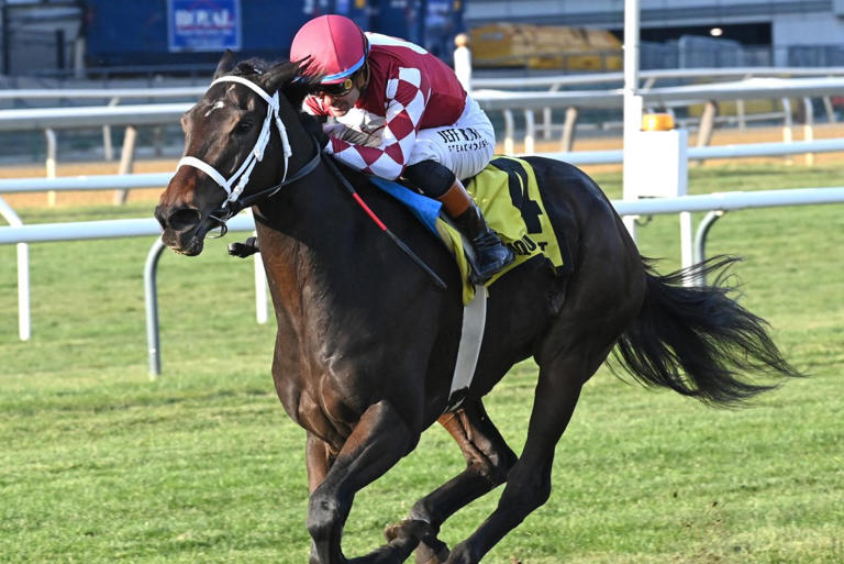 Horse racing rivalry shapes up between star 3-year-old fillies