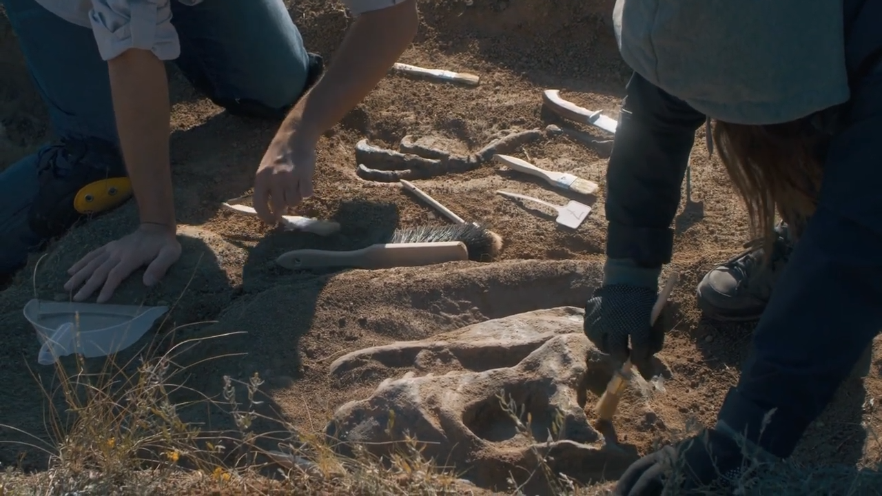 Meet Tarbosaurus – the ferocious predator that rivaled T. rex