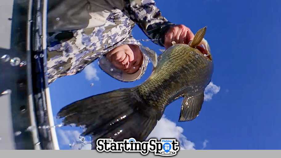 The Starting Spot: Meet the 10 New Bassmaster Elites, MLF’s 2026 FFS ...