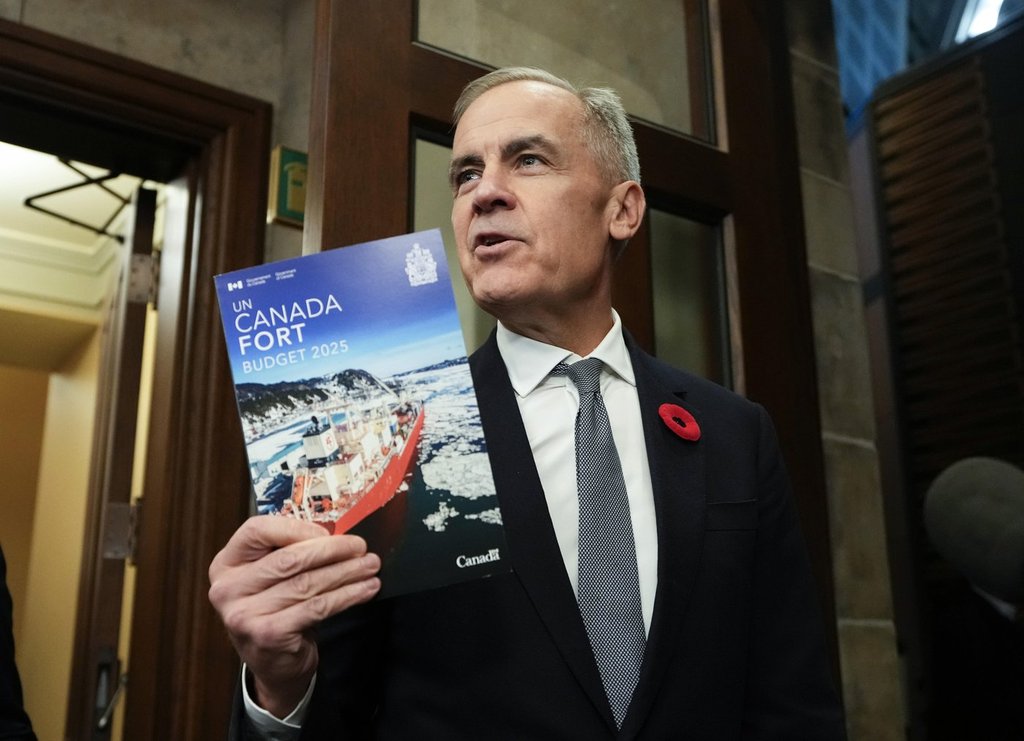 Liberals survive crucial confidence vote on budget in win for Carney