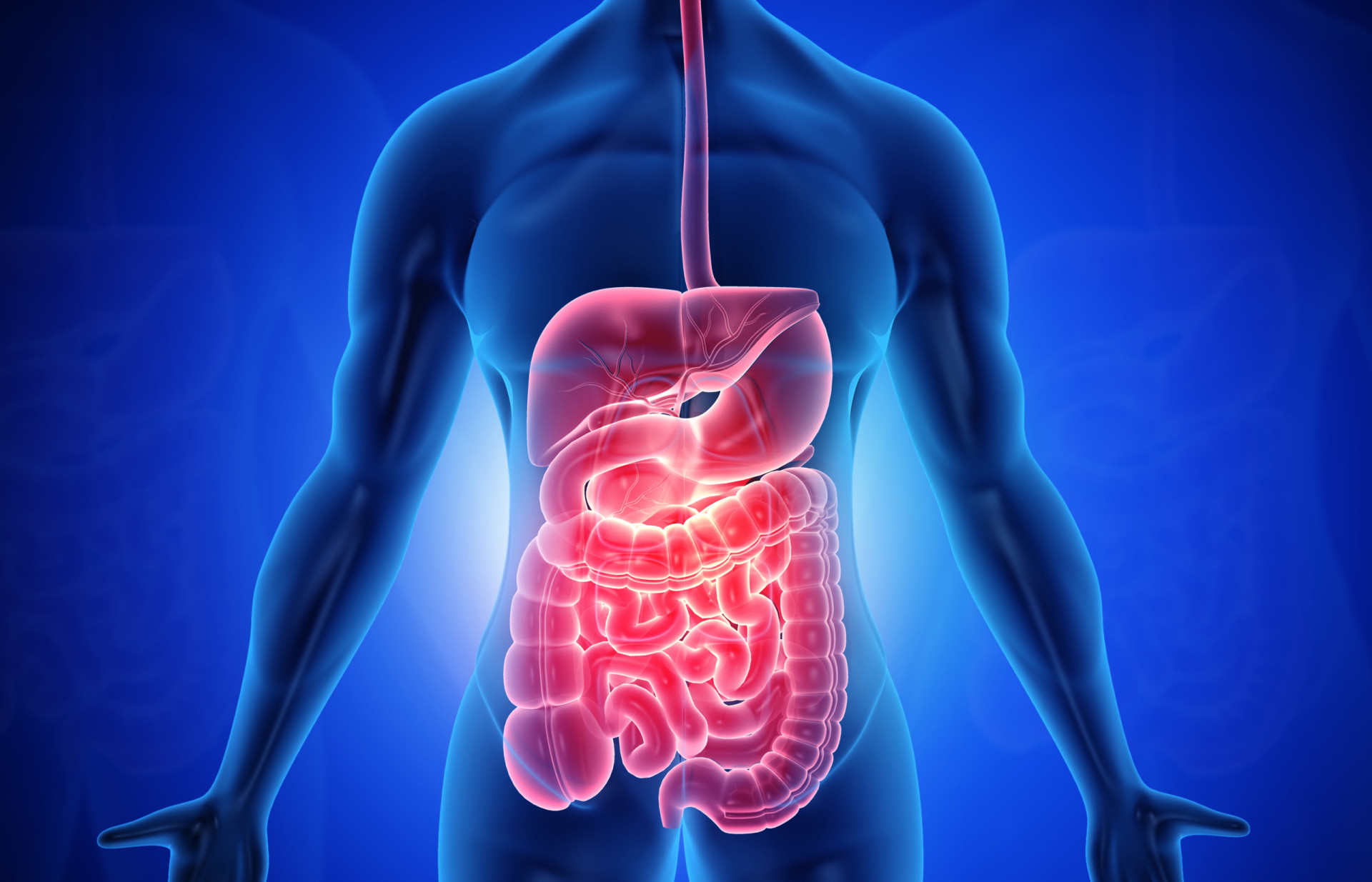 Can the human body create its own alcohol?