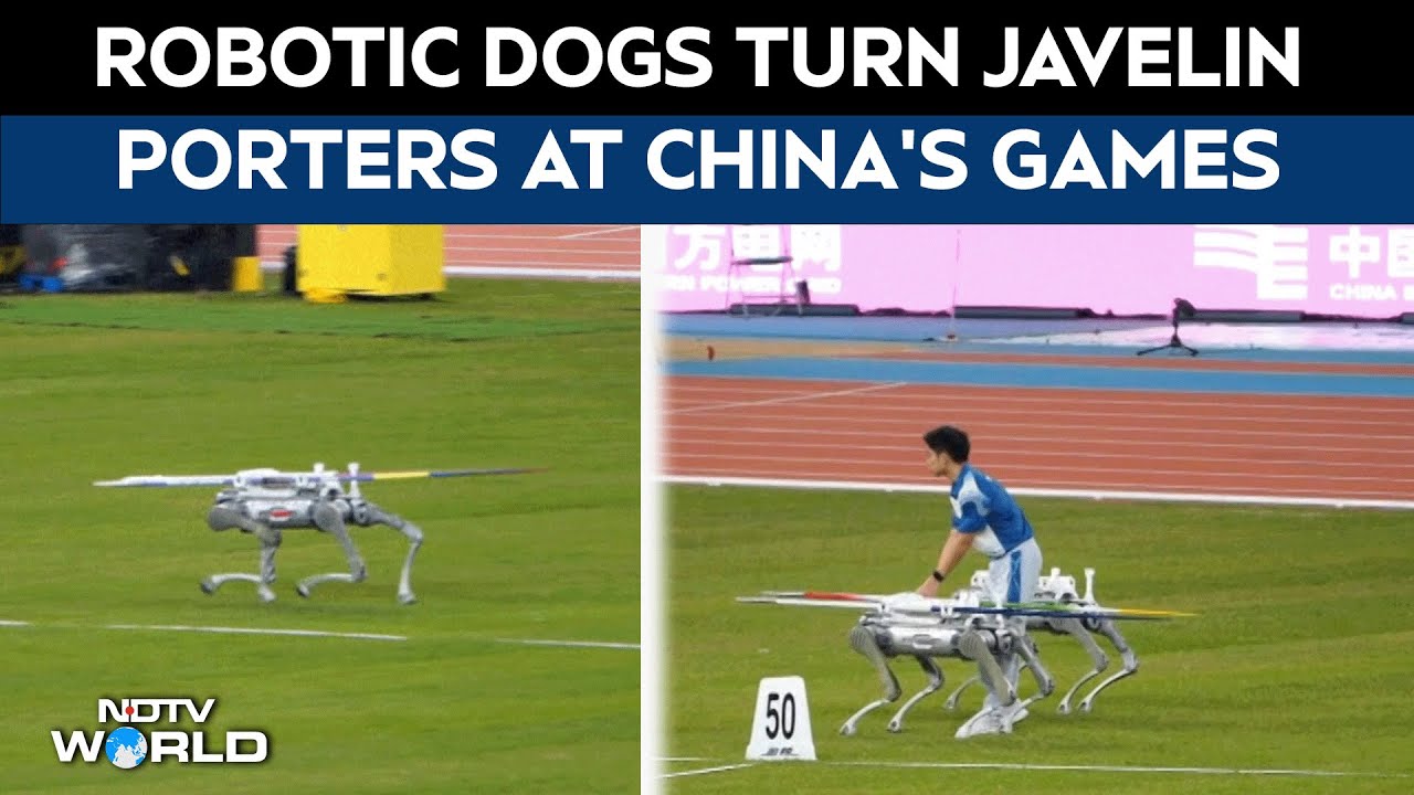 China National Games | Robotic Dogs Become Javelin 'Porters' At China's ...