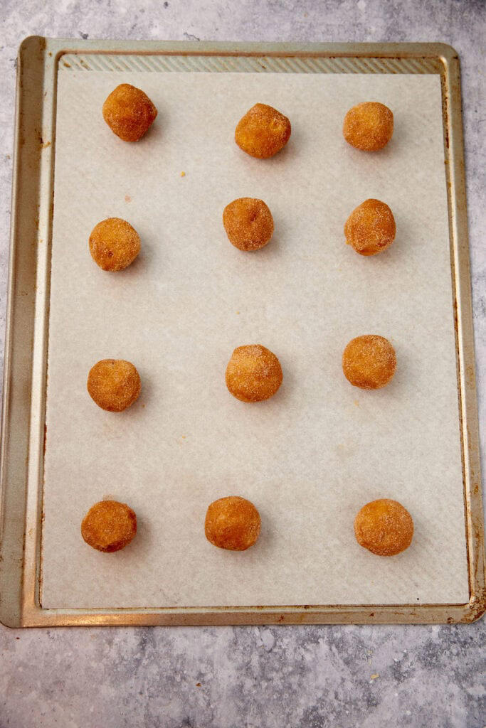 Cozy Pumpkin Snickerdoodles with Cinnamon-Sugar Crackle