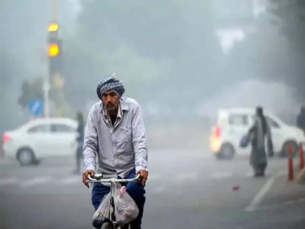 IMD issues cold wave alert for 7 districts of Jharkhand, Gumla shivers ...