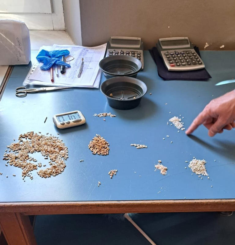 Riso Gallo, il racconto di una filiera sostenibile e circolare