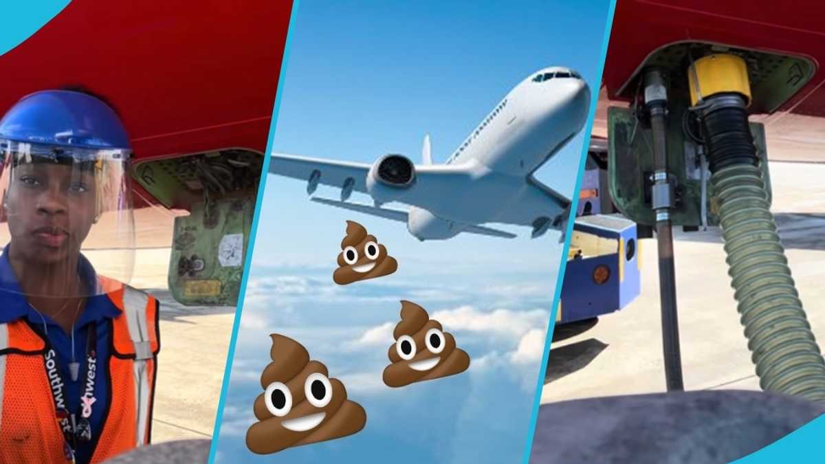 Young woman sheds light on aircraft lavatory waste disposal in viral video
