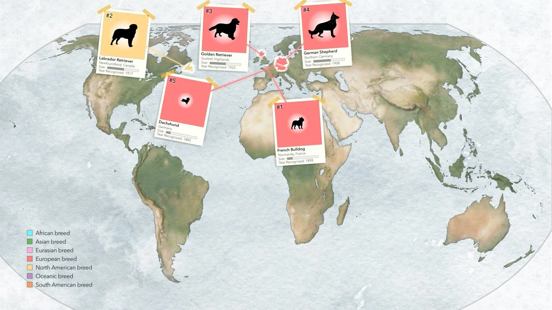 A Paw-some Map of the 101 Most Popular Dog Breeds