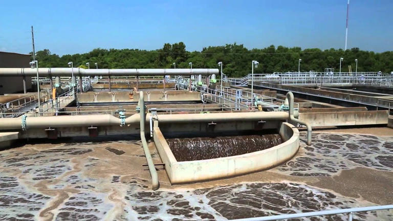 Georgia to include forever chemicals in state drinking water regulations