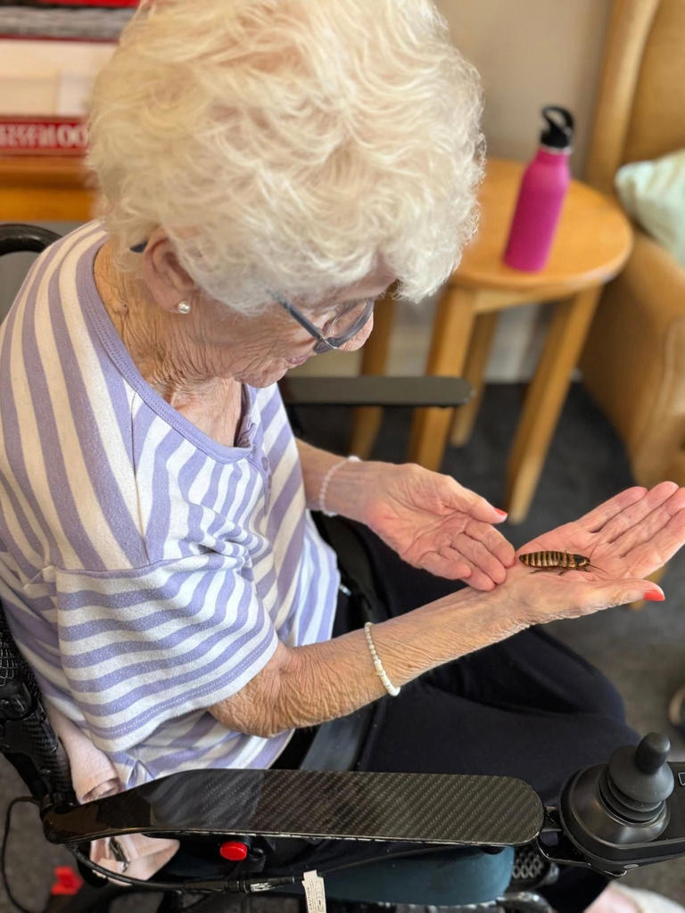 Shoreham-by-Sea care home residents get up close and personal with ...