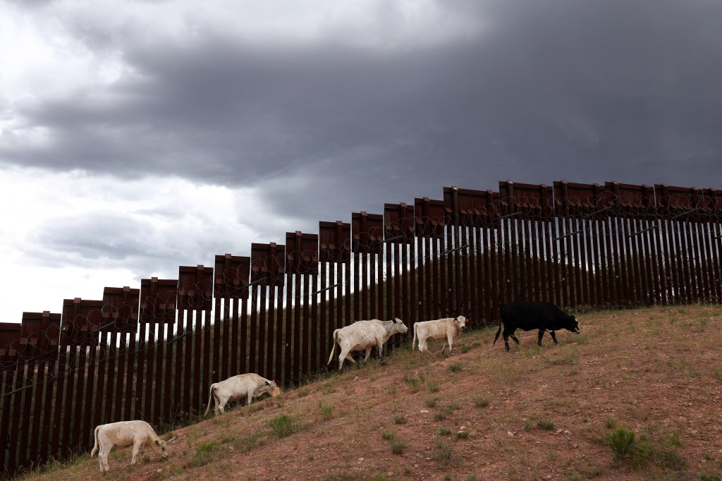 Trump admin says beef prices could hit $10 per pound because of migrants