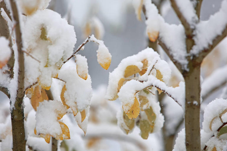 Wetter schlägt um: Hier wird es in Deutschland jetzt frostig