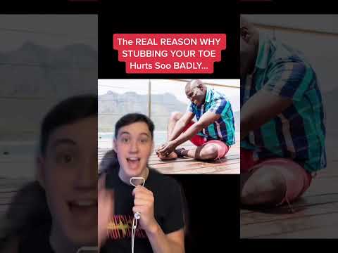 Why stubbing your toe causes intense pain