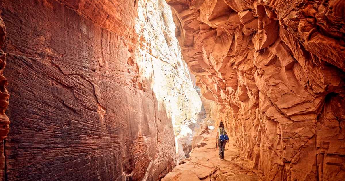 Zion National Park Held a Unique Event That Helped Rebuild and Recover ...