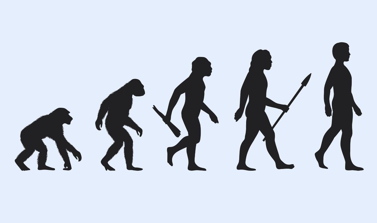 The common belief that humans evolved from monkeys might not be as true ...