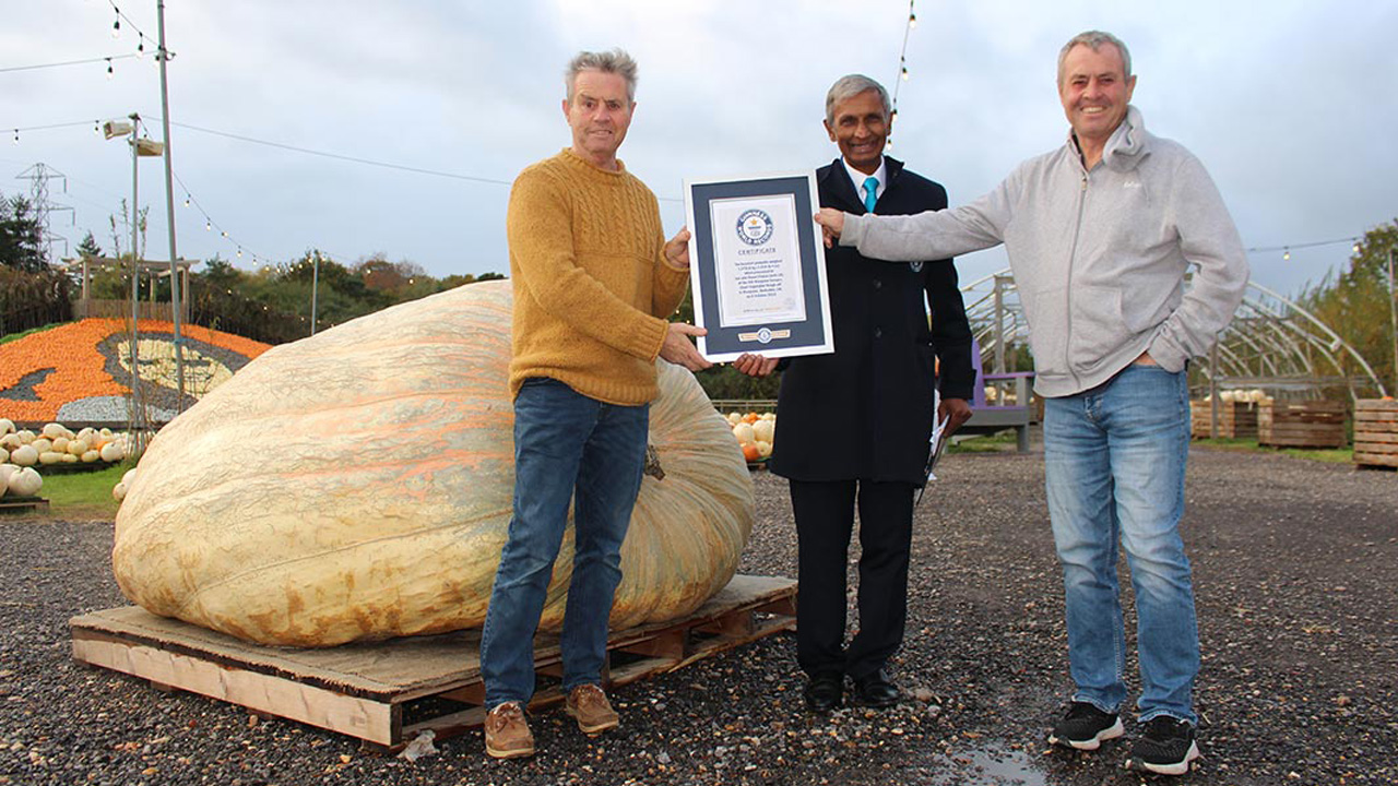 Twin brothers unveil record-breaking giant pumpkin in the UK
