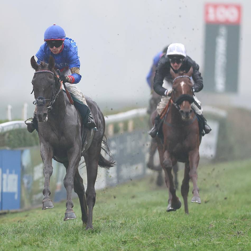 Hengst Lommi gewinnt Herzog-von-Ratibor-Rennen